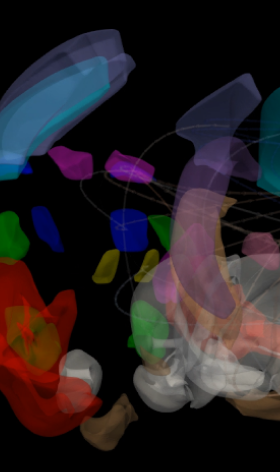 Digital Brain Analytics